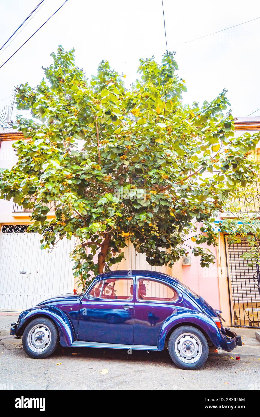 Ordinary House in Oaxaca, Mexico Stock Photo - Alamy