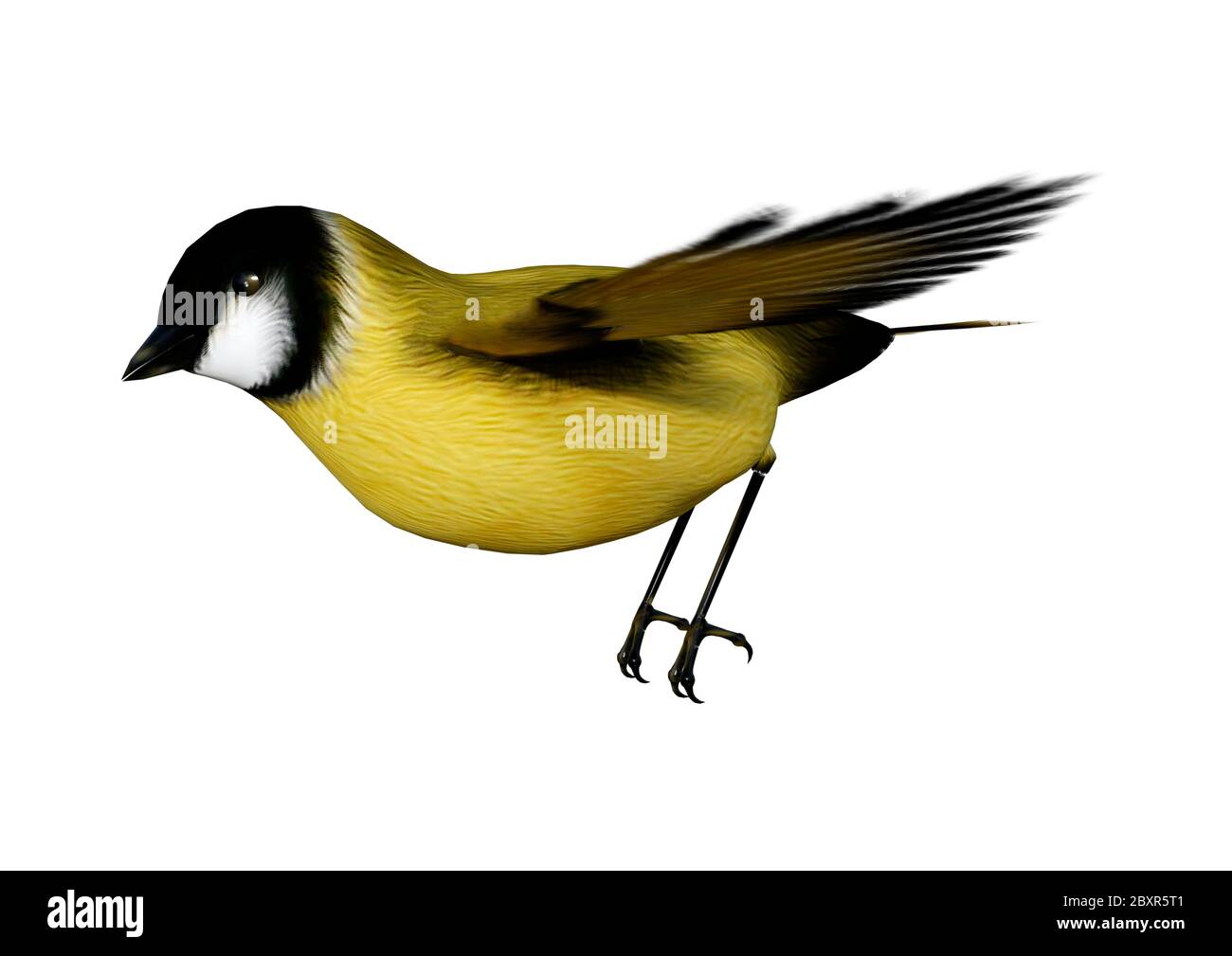 Yellow Finches Flying