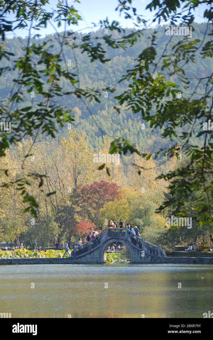 The fall of the qing dynasty hi-res stock photography and images - Alamy