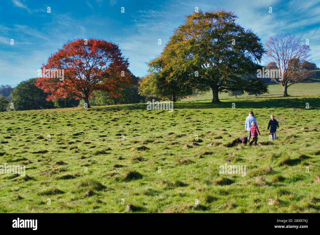 Family walk in Sussex countryside Stock Photo - Alamy