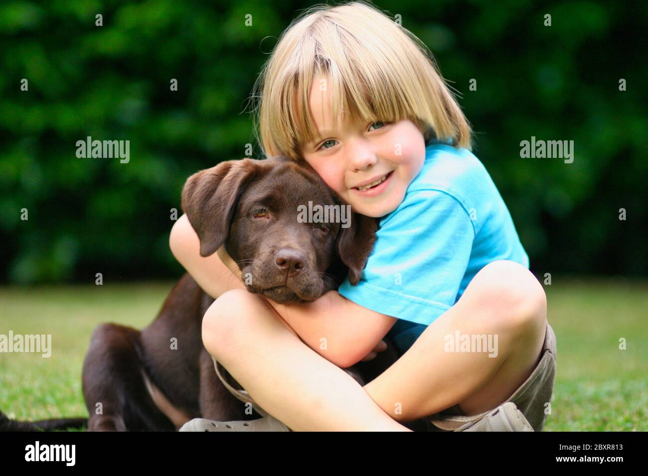 Young boy hugging chocolate Labrador puppy Stock Photo - Alamy