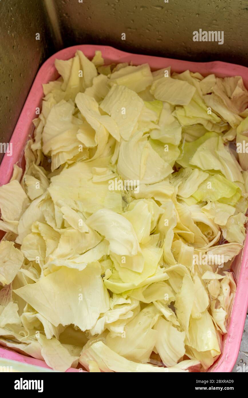 A basket of fresh cabbages being cleaned Stock Photo - Alamy