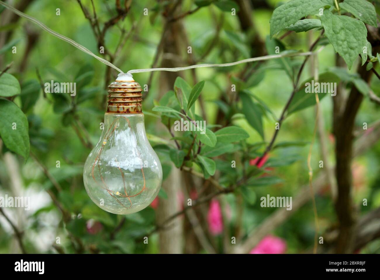 Garden lightbulb hi-res stock photography and images - Alamy