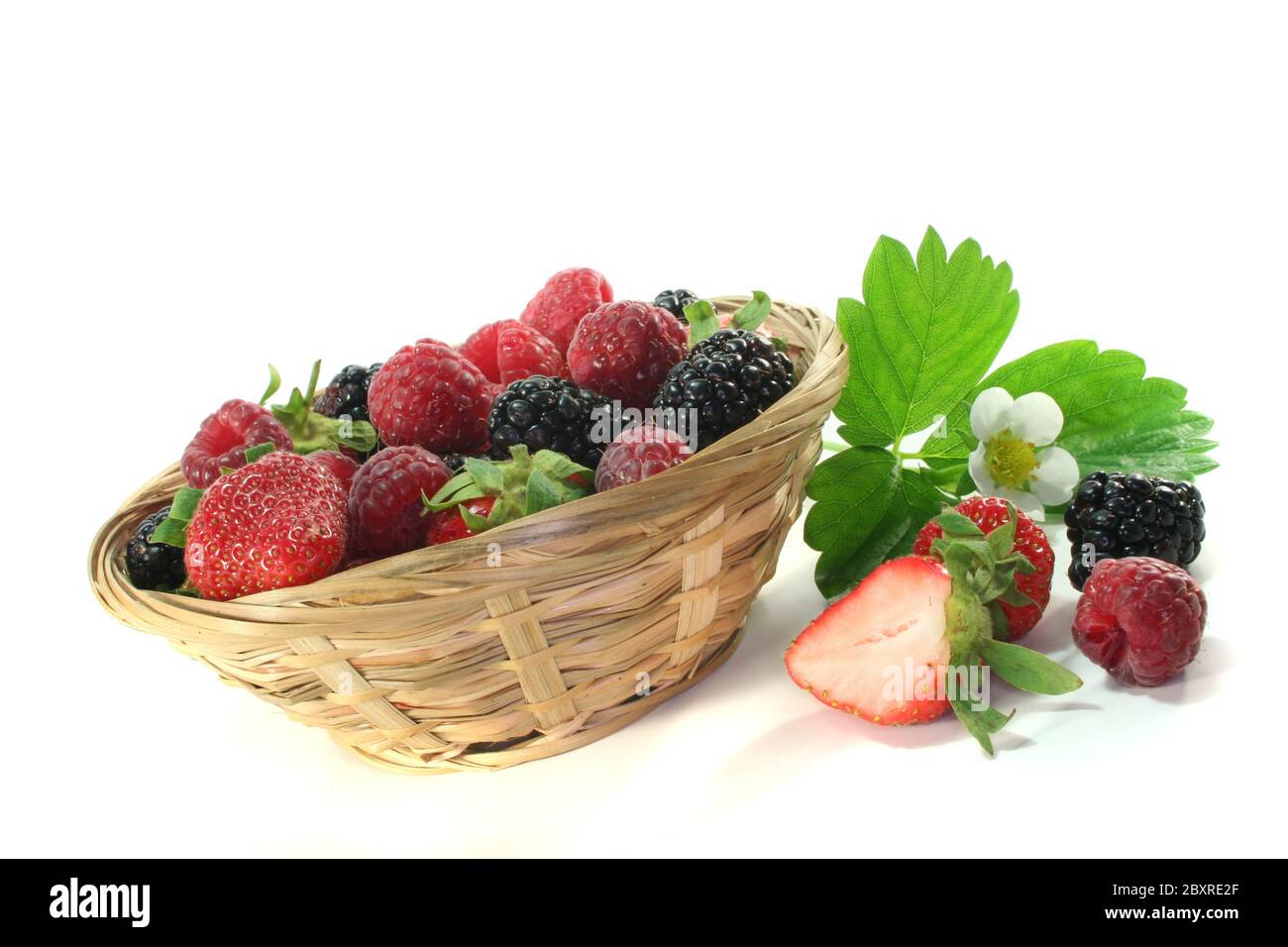 Forest shrub Cut Out Stock Images & Pictures - Alamy