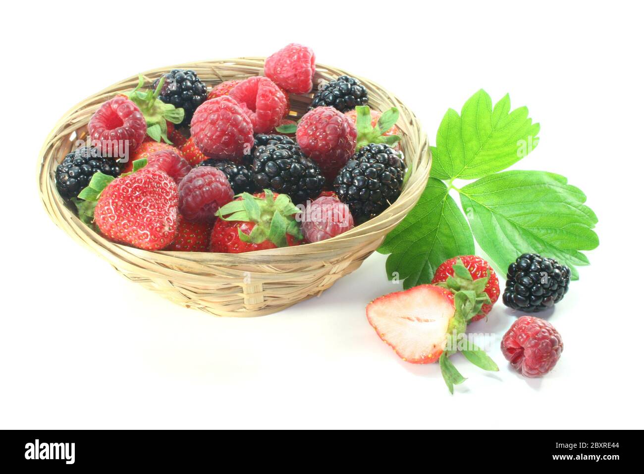 Forest shrub Cut Out Stock Images & Pictures - Alamy