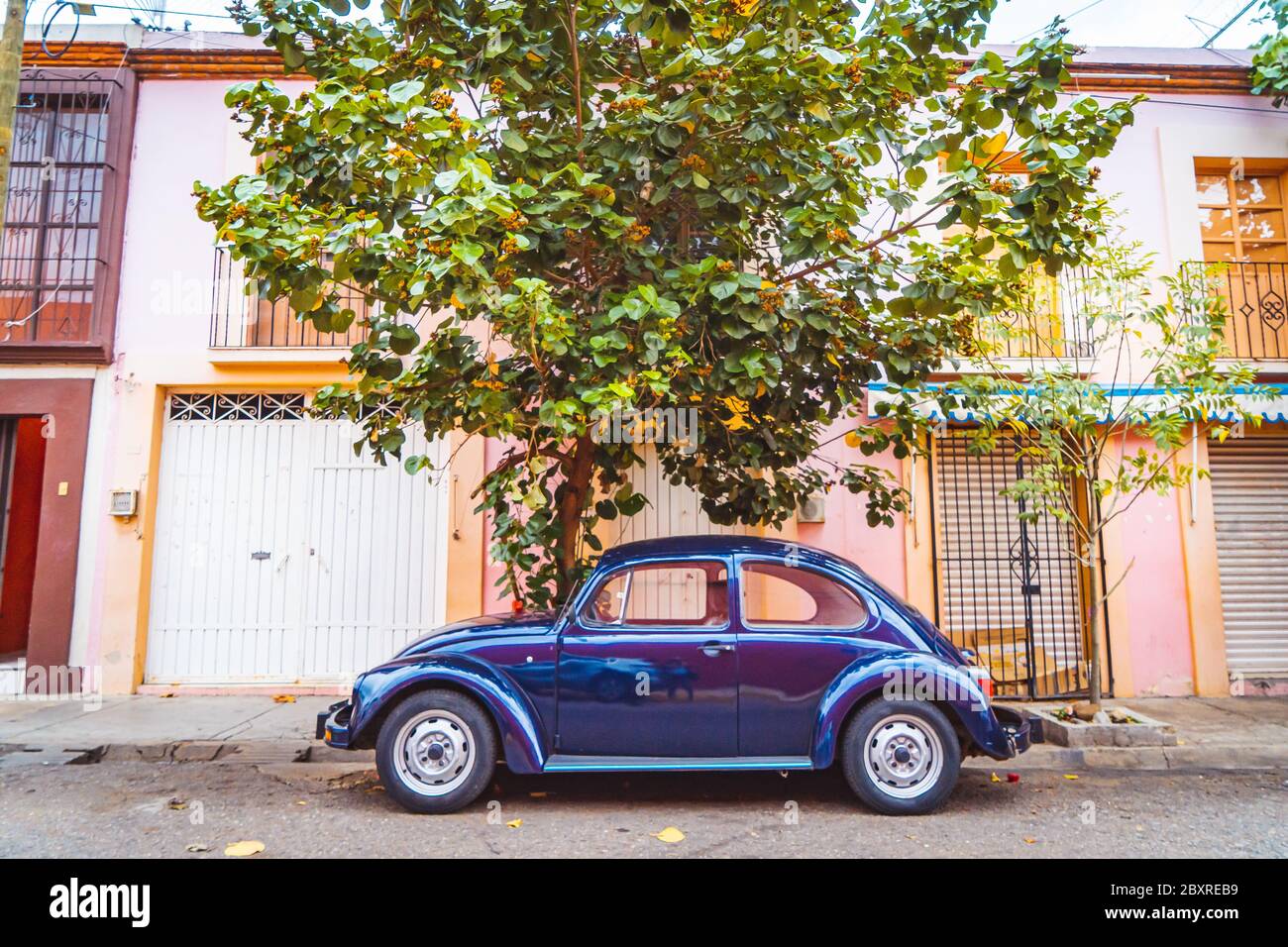 Ordinary House in Oaxaca, Mexico Stock Photo - Alamy