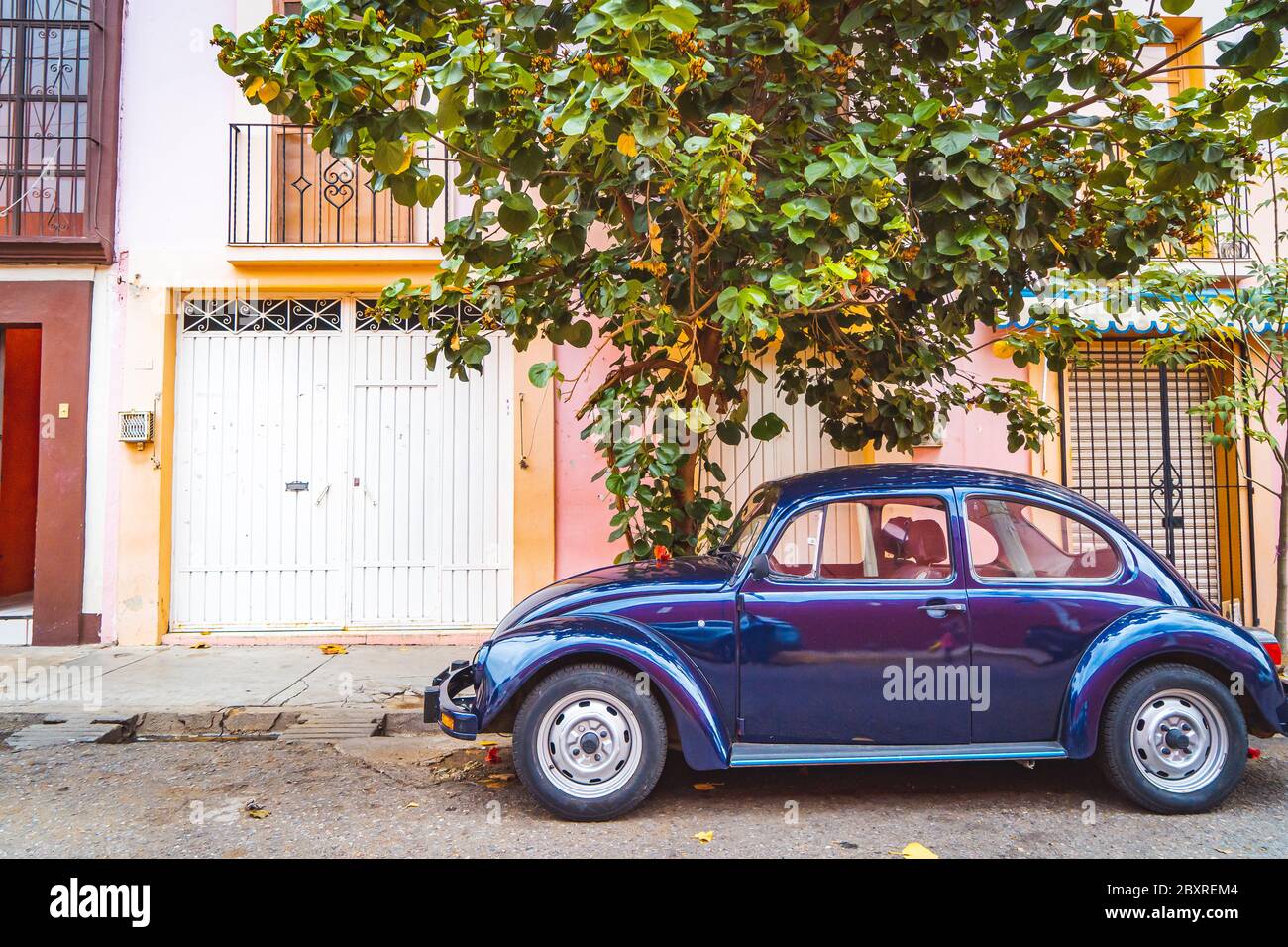 Ordinary House in Oaxaca, Mexico Stock Photo - Alamy