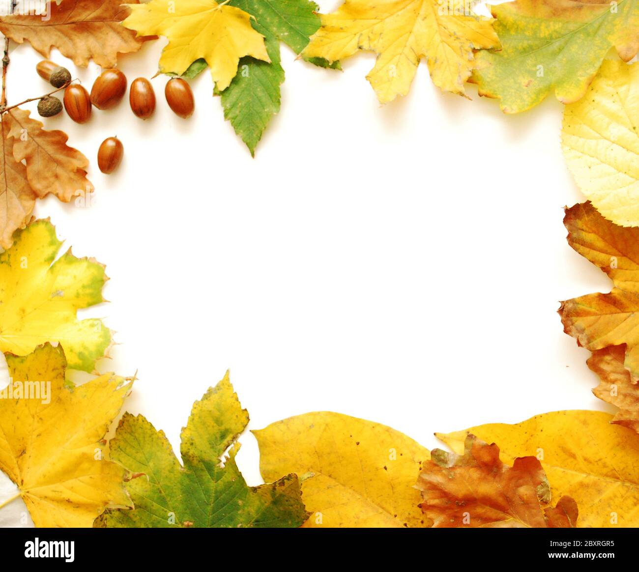 Autumn Leaves Frame Stock Photo - Alamy