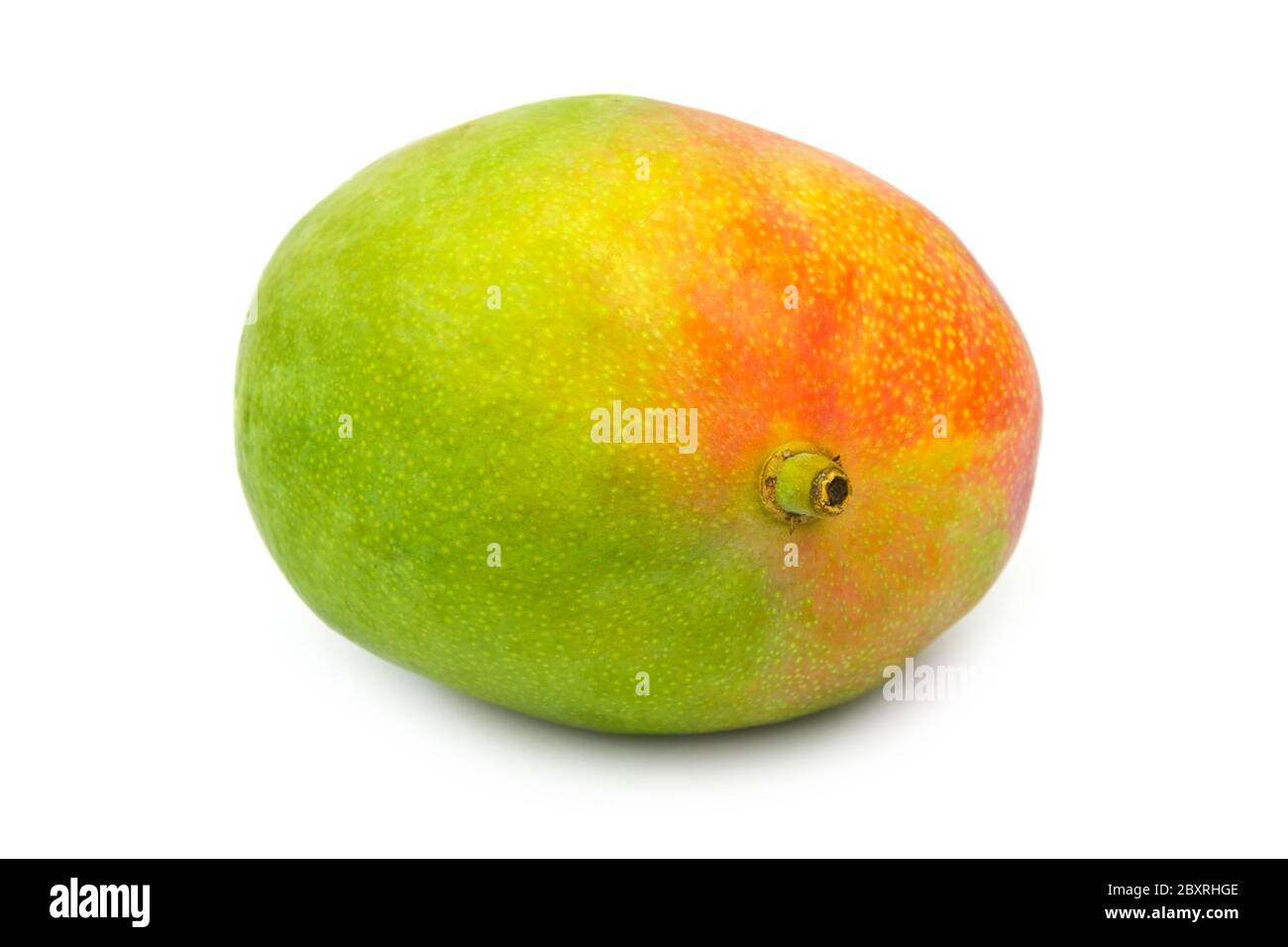 Mango orange tree Cut Out Stock Images & Pictures - Alamy