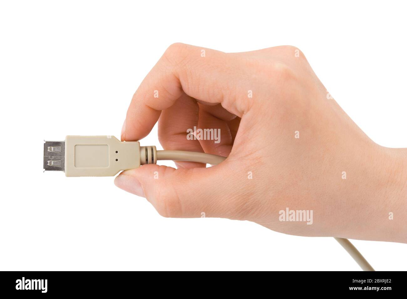 Computer cable in hand Stock Photo - Alamy