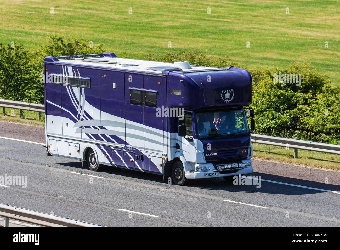 2012 Daf Trucks LF large coach built purple white horsebox van; Animal ...