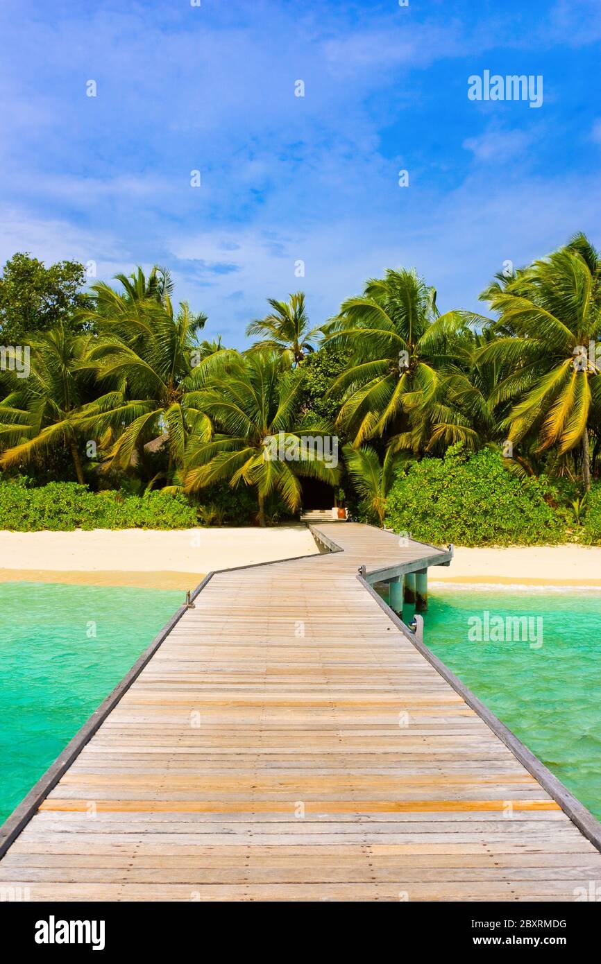 Jetty, beach and jungle Stock Photo - Alamy