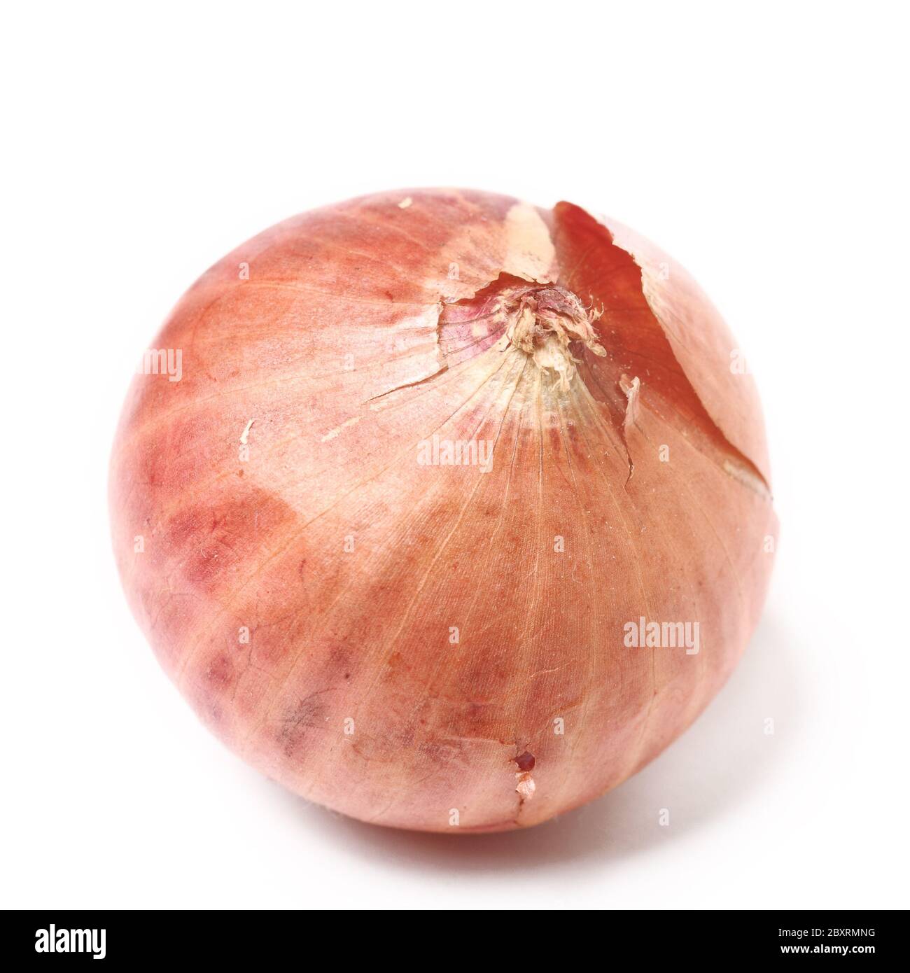 One shallot hi-res stock photography and images - Alamy