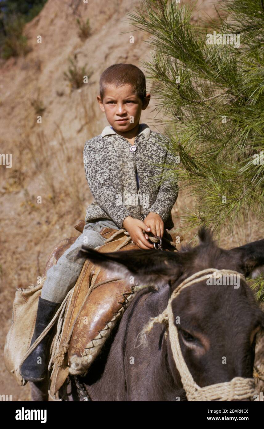 Riding a mule hi-res stock photography and images - Alamy