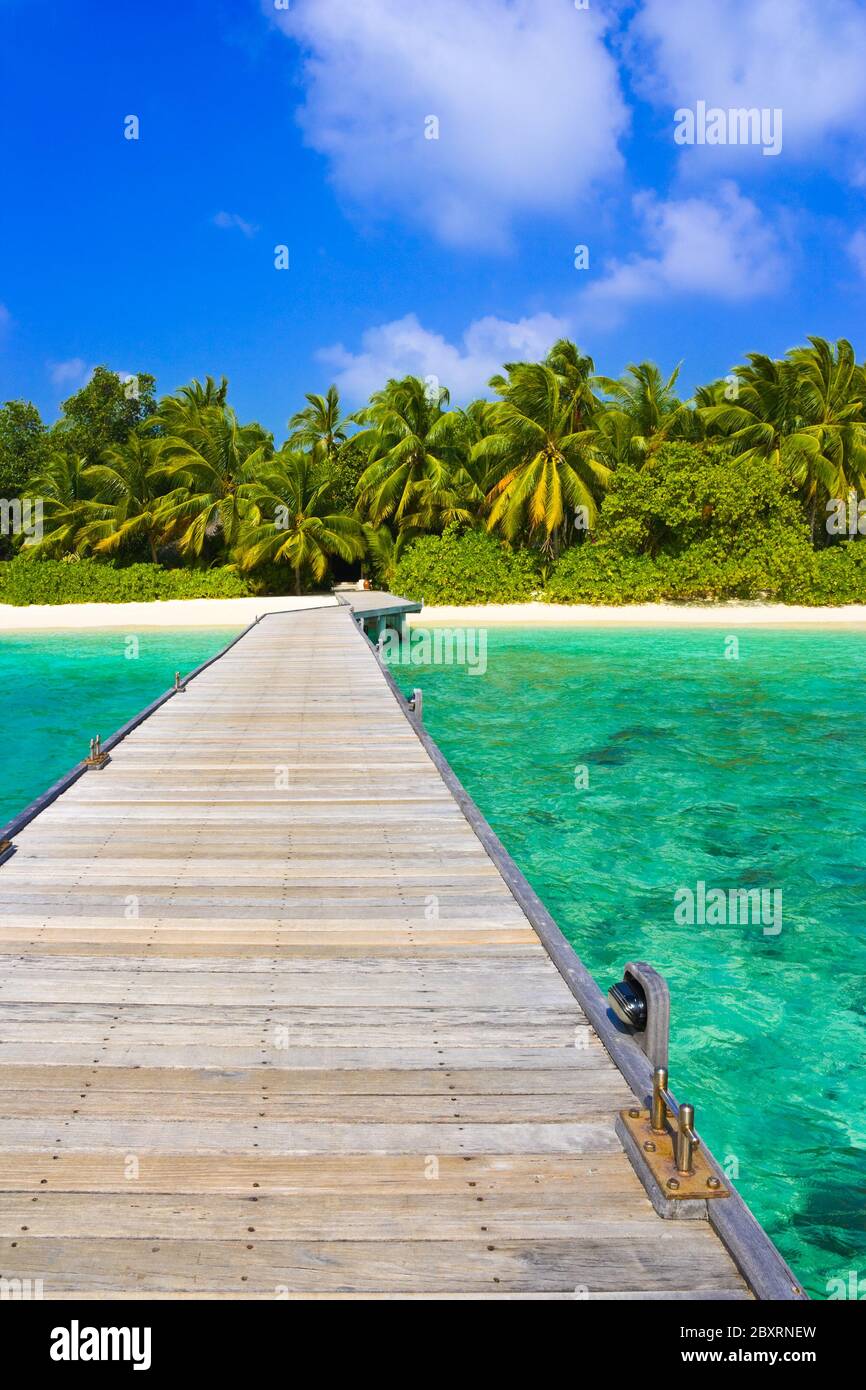 Jetty, beach and jungle Stock Photo - Alamy