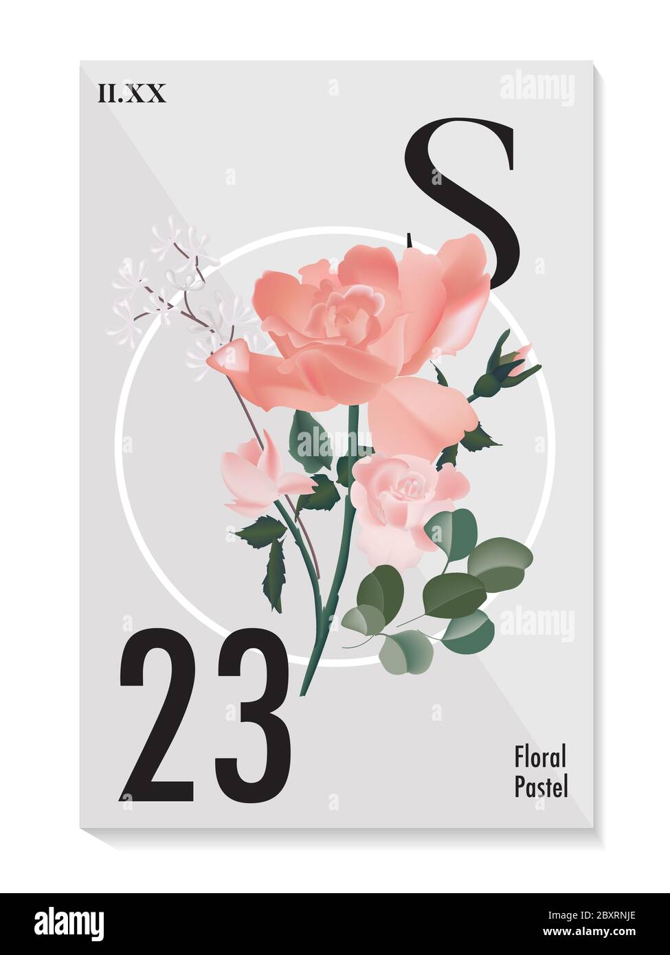 Roses flower poster, design with font on grey background. Elegant ...
