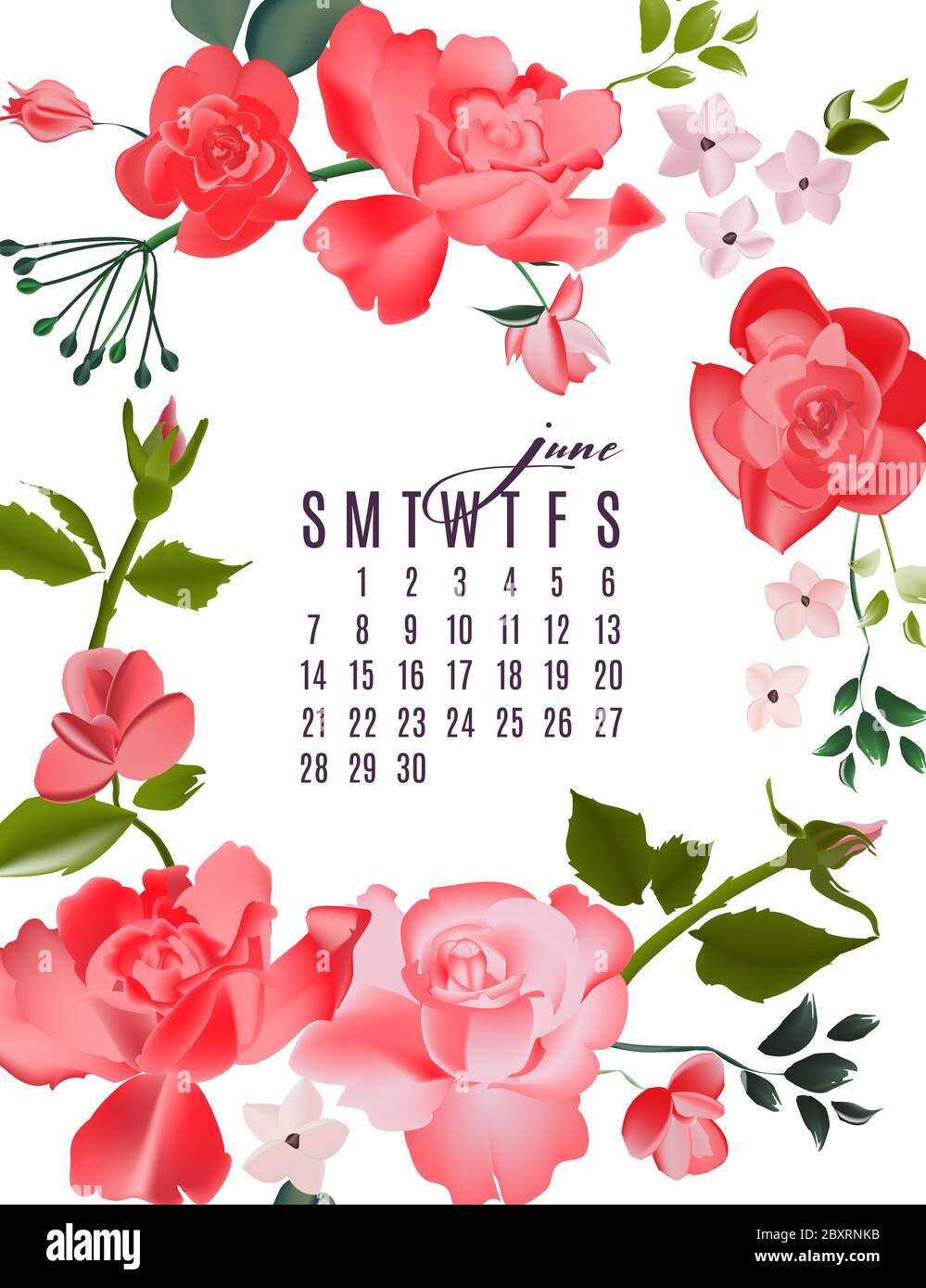 Pink wild roses in garden Stock Vector Images - Alamy