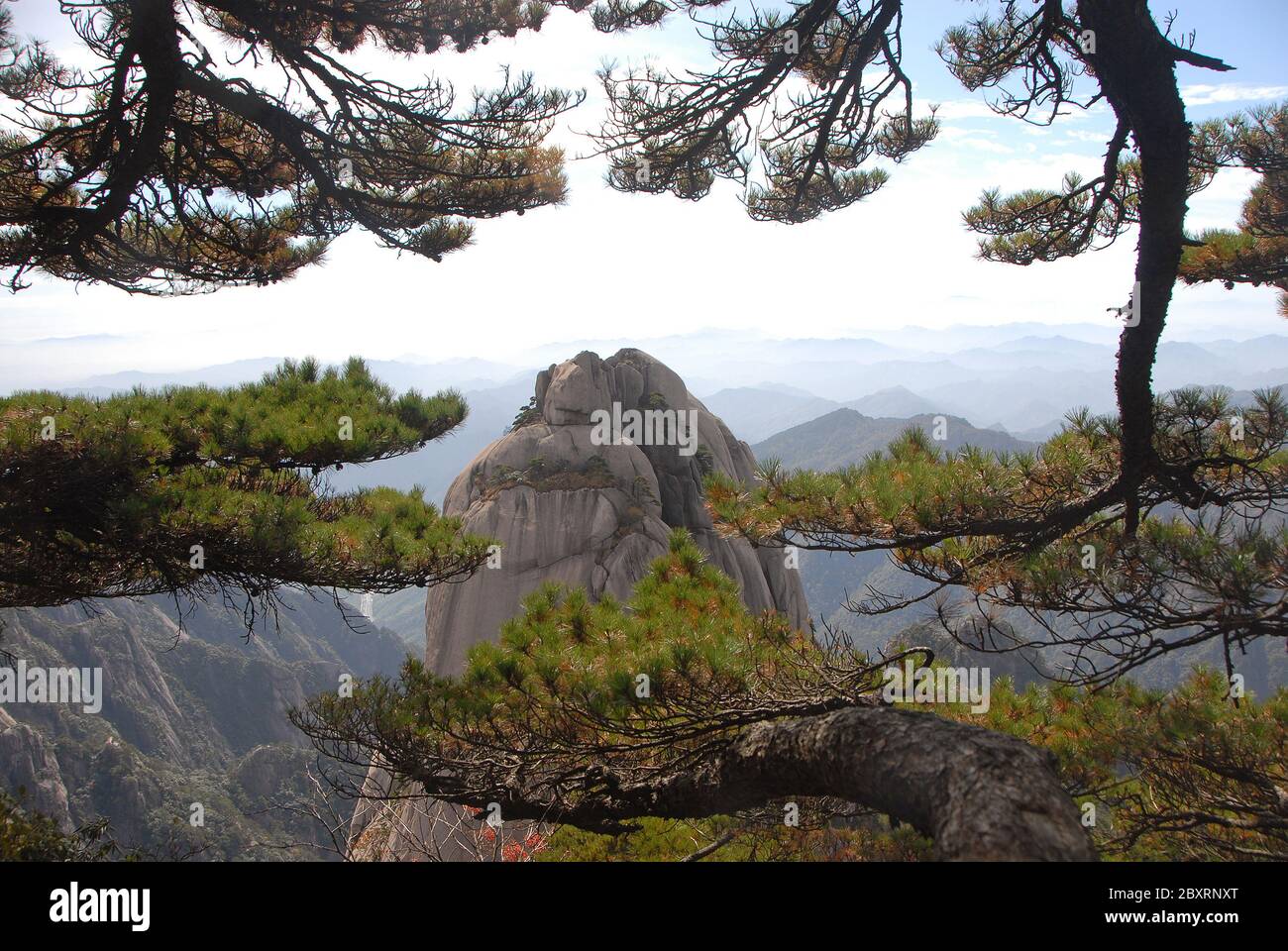 Huangshan pine tree yellow mountain hi-res stock photography and images ...