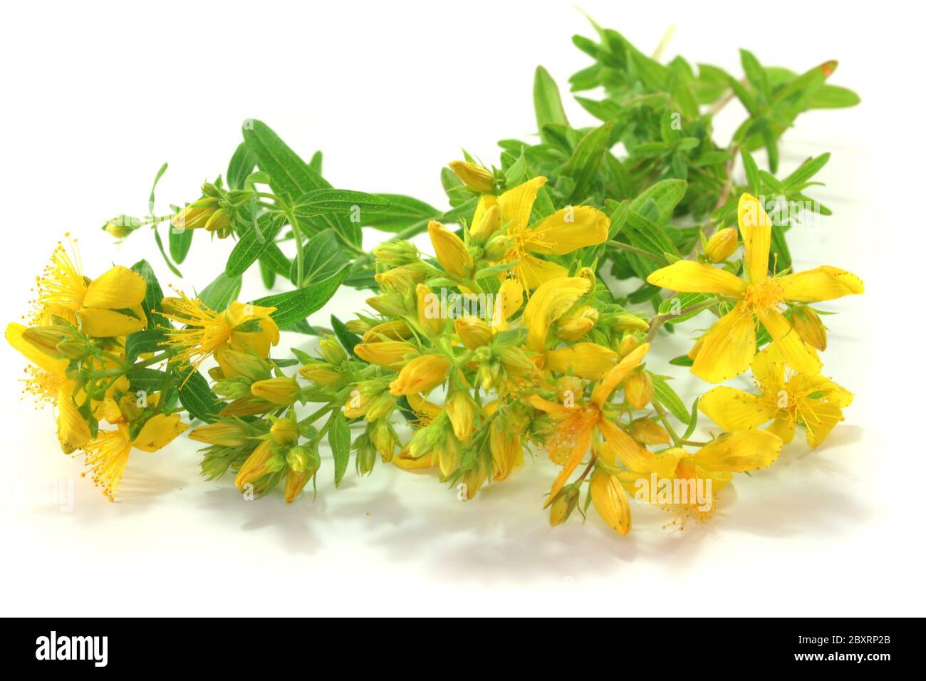 Natural remedies medicines hi-res stock photography and images - Alamy