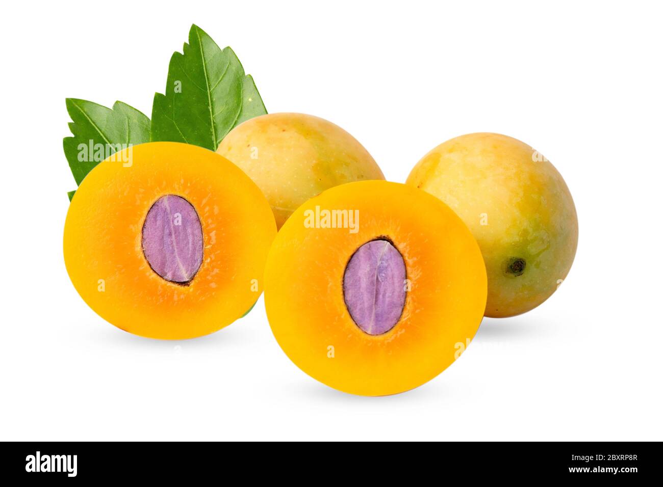 Thai Plango, Plum Mango, Mayongchid, Maprang or Sweet Yellow Marian ...