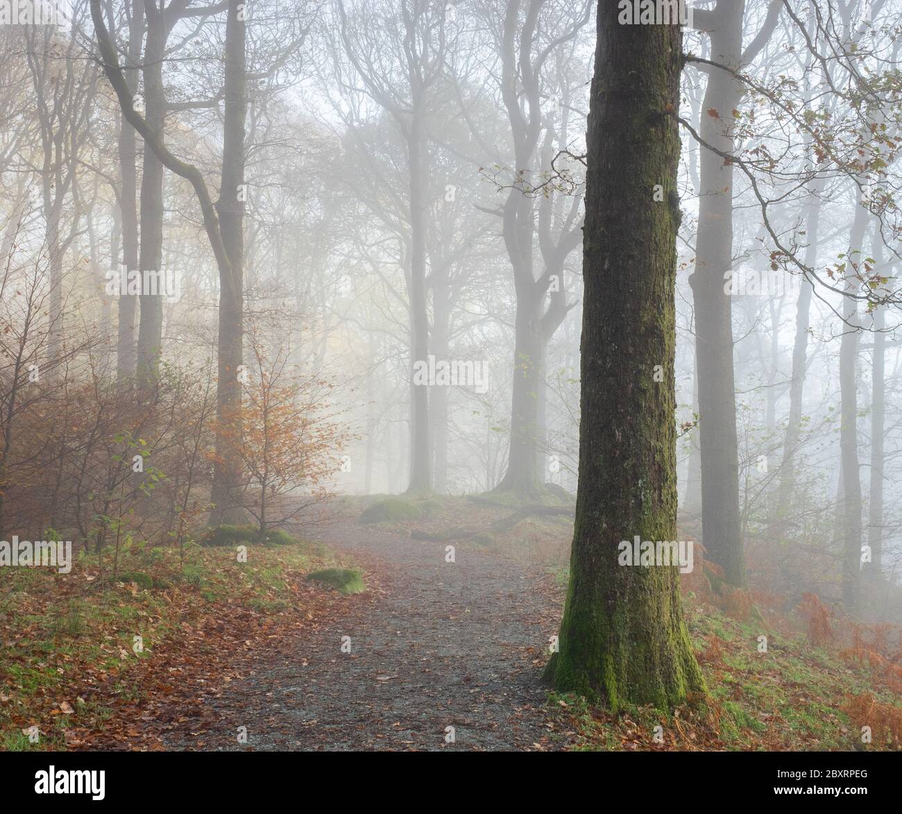 Penny lake hi-res stock photography and images - Alamy