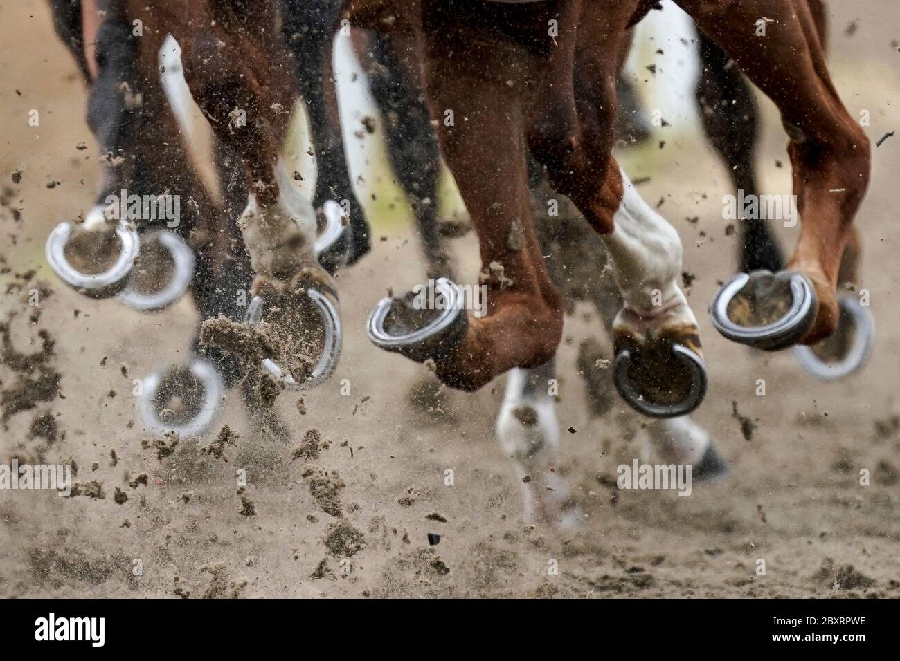 Runners kick back the Polytrack surface as they turn into the back ...