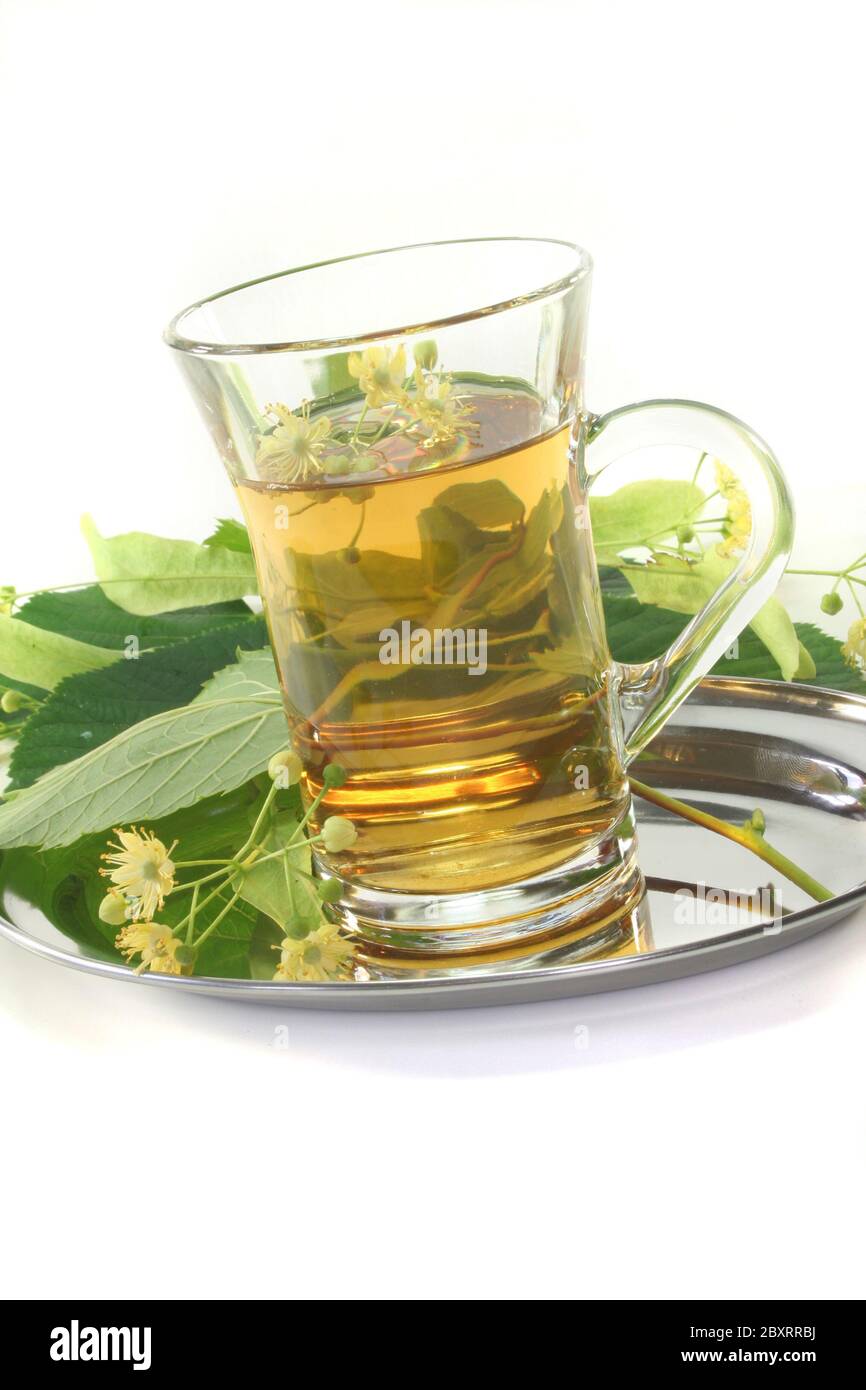 Lime flower tea hi-res stock photography and images - Alamy