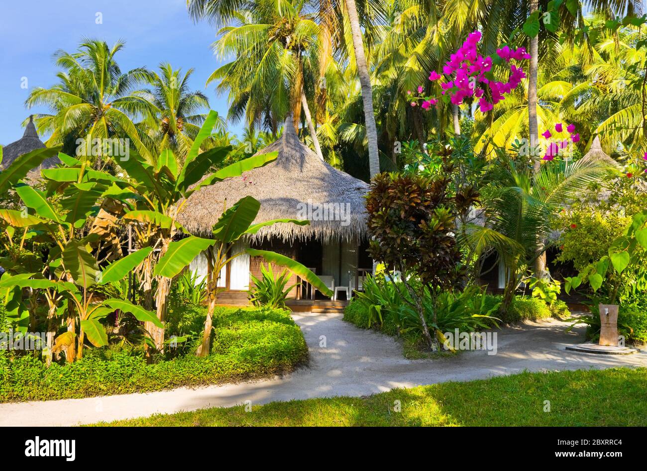 Hotel plant bungalow beach hi-res stock photography and images - Alamy
