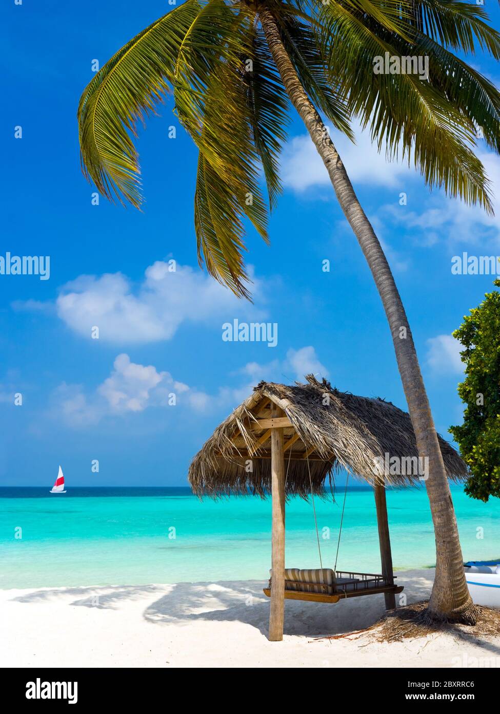 Swing on a tropical beach hi-res stock photography and images - Alamy