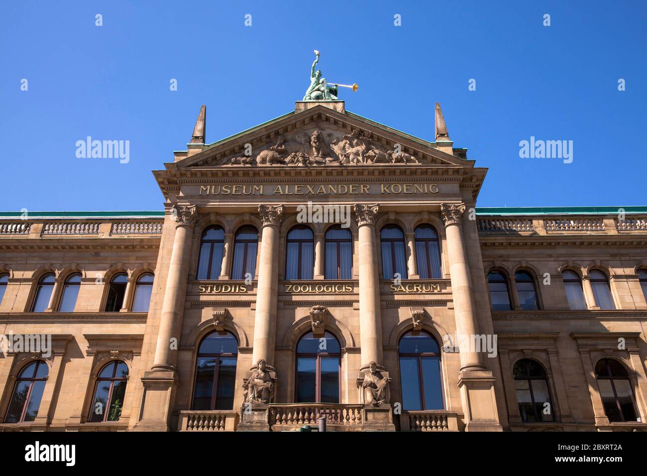 the Natural History Museum Alexander Koenig on Adenauer Allee, North ...