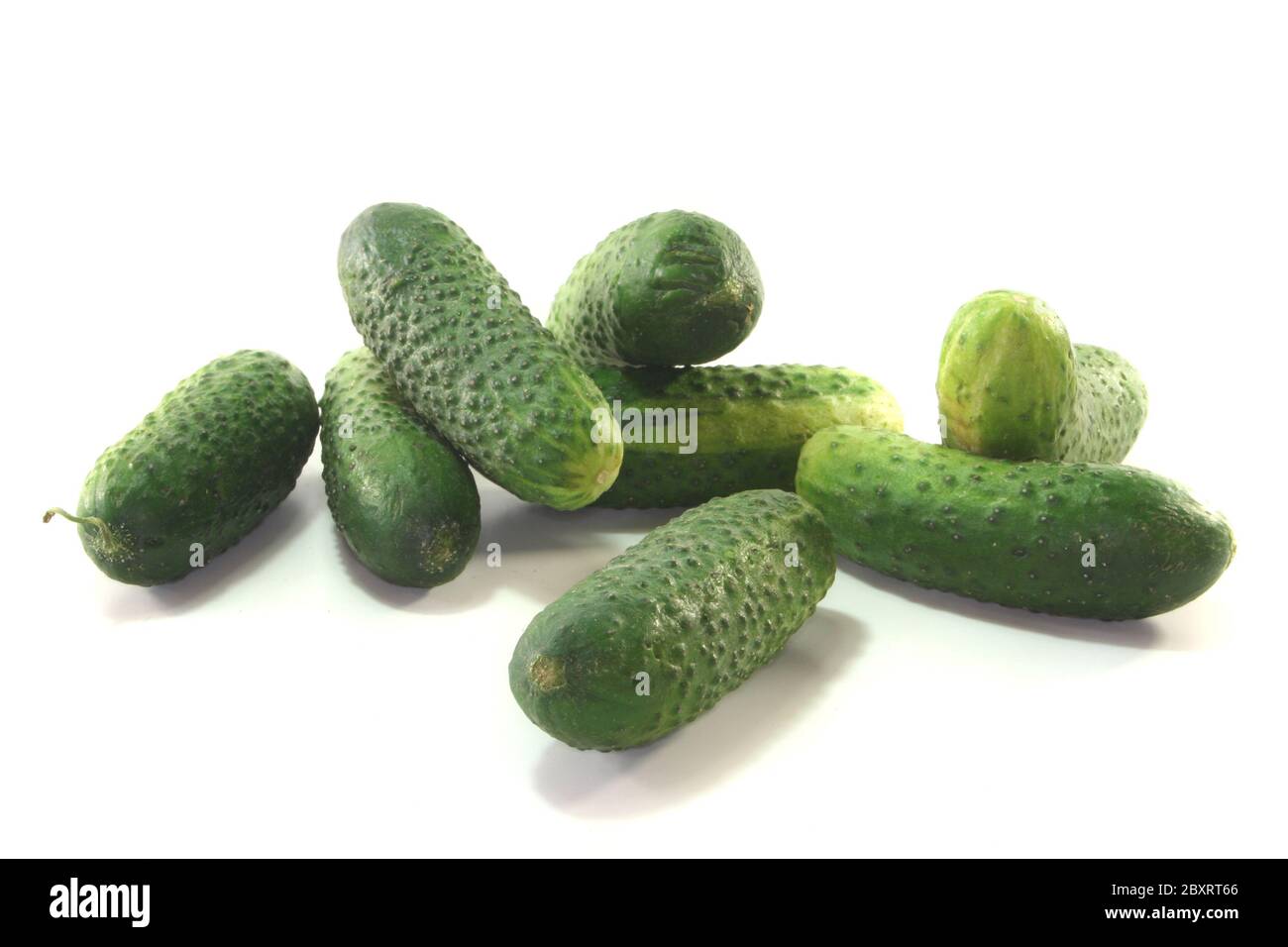 Pickling gherkins hi-res stock photography and images - Alamy