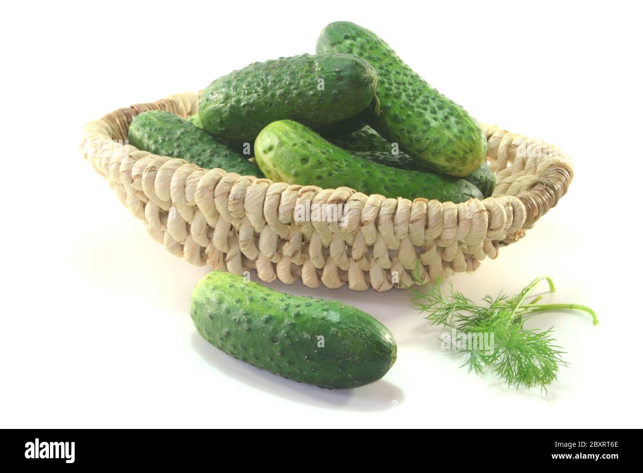 Pickling gherkins hi-res stock photography and images - Alamy