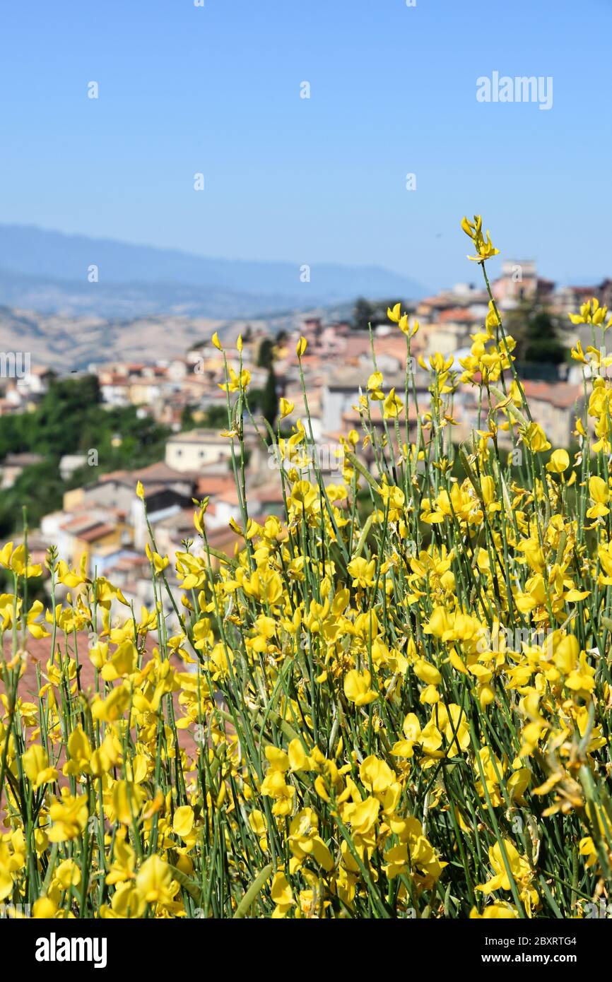 Panoramic view from the medieval town of Ariano Irpino in the Campania ...