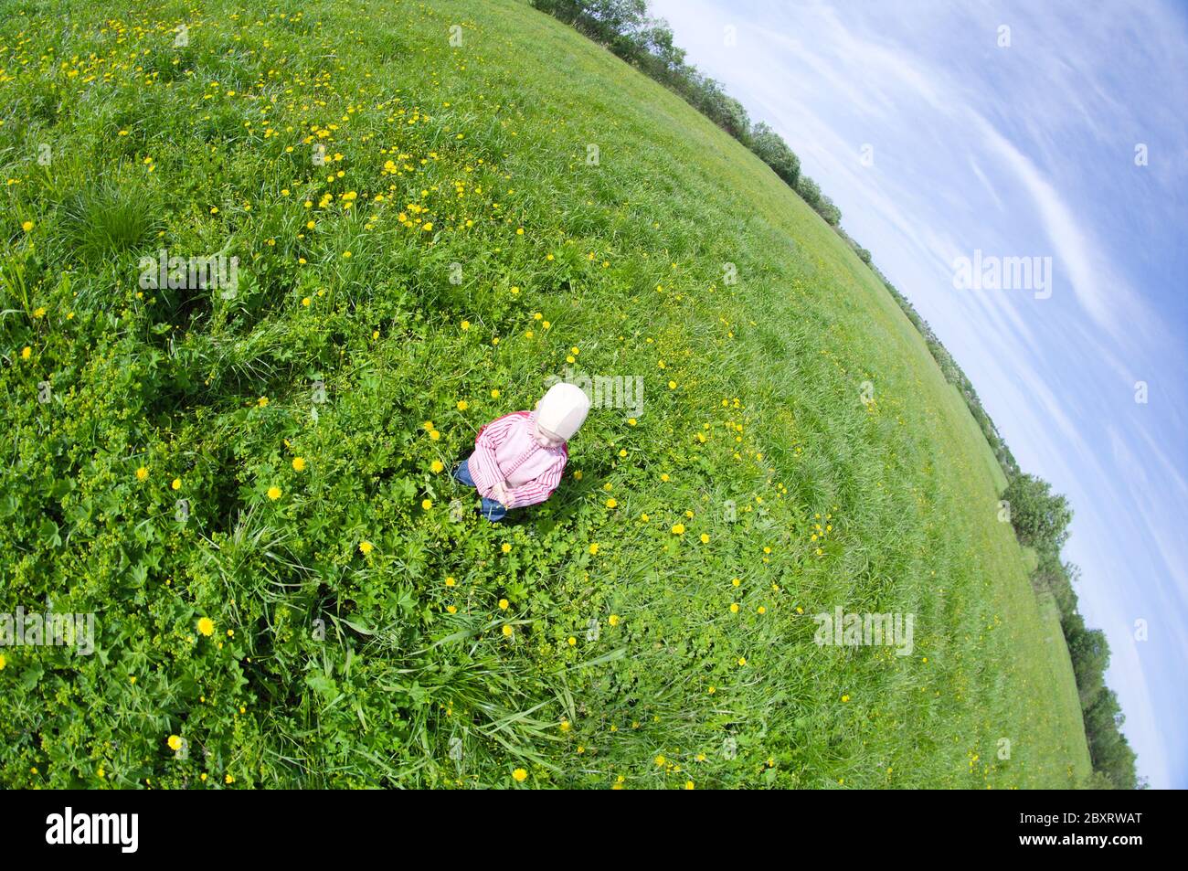 Boy with bug hi-res stock photography and images - Alamy