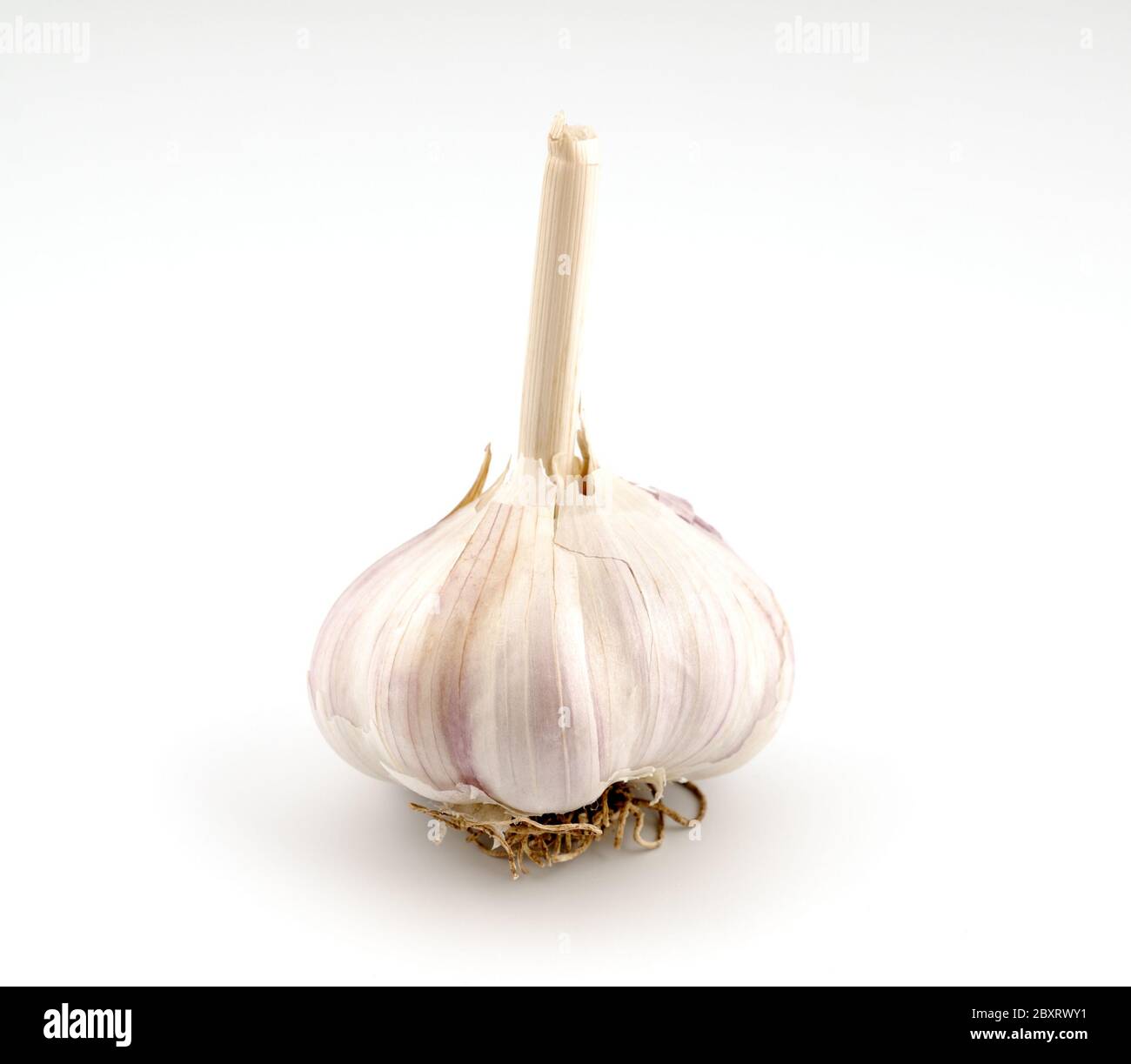 Fresh peeled garlic close hi-res stock photography and images - Alamy