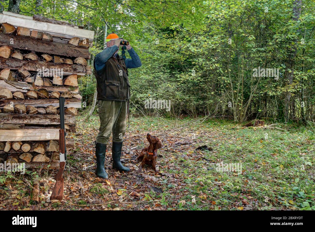 Senior hunter rifle forest hi-res stock photography and images - Alamy