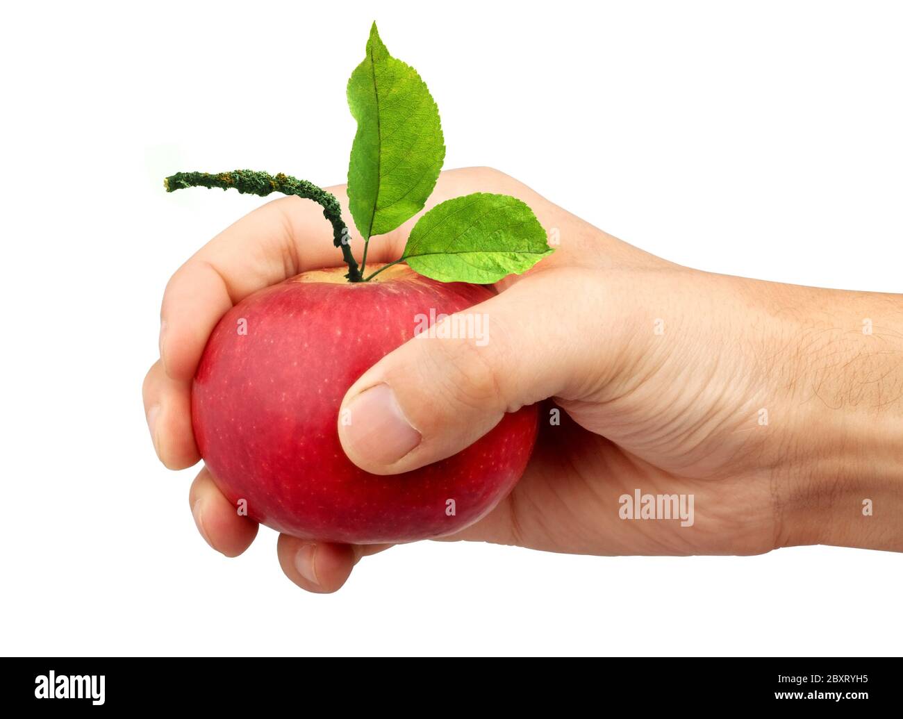 An apple in the hand isolated on white background Stock Photo - Alamy