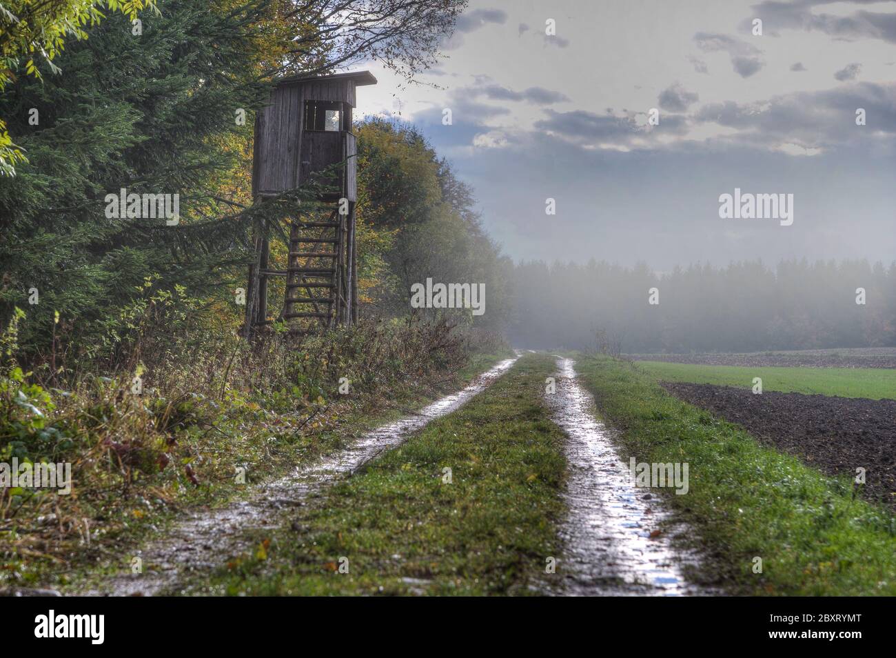 The hour of the hunter. Slowly, the fog pulls up and dips the autumn ...