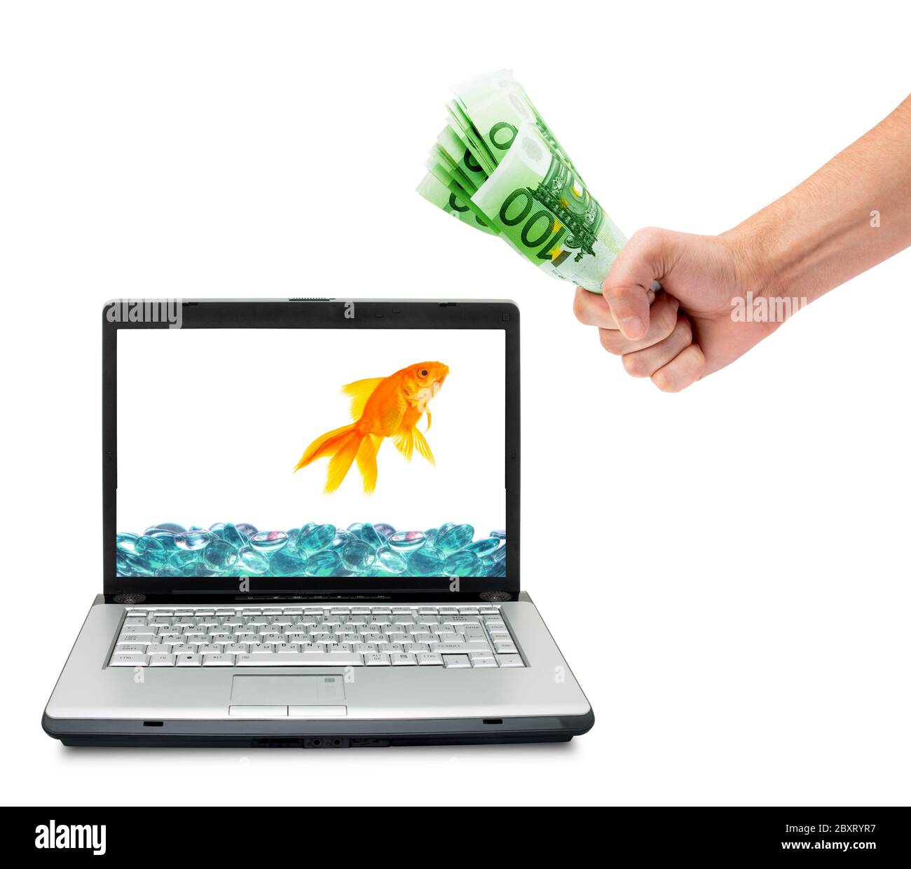 Goldfish hand fish animal Cut Out Stock Images & Pictures - Alamy