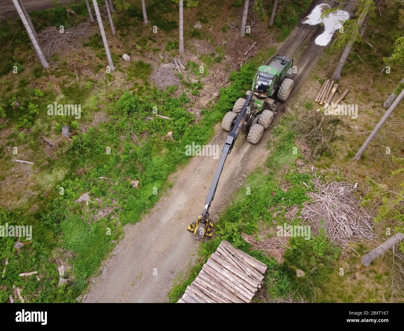 Aerial drone view of green timberjack tractor in the coniferous forest ...