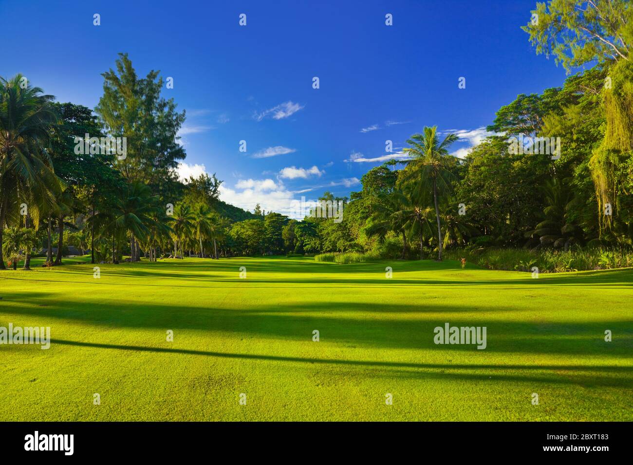 Golf field at Seychelles Stock Photo - Alamy