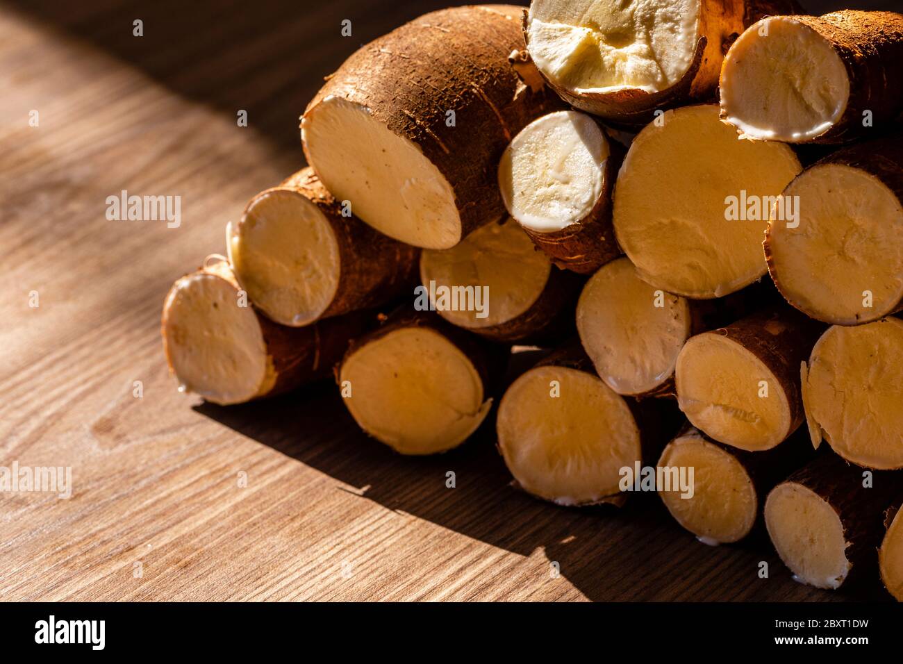 Cassava, also called manioc, yuca, balinghoy, mogo, mandioca, kamoteng ...