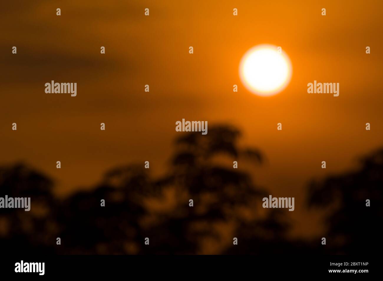 Sunset, also known as sundown, is the daily disappearance of the Sun ...