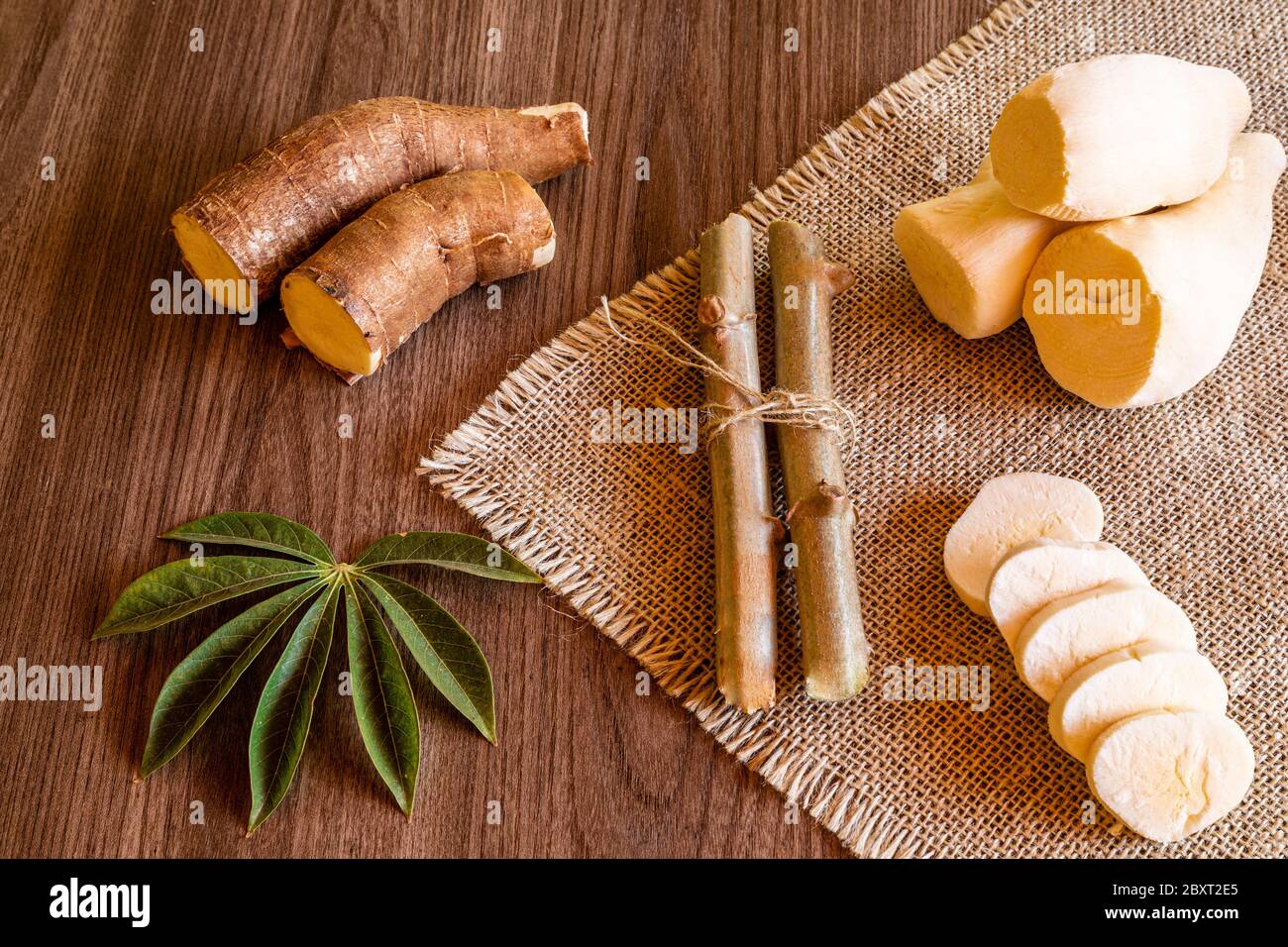 Cassava, also called manioc, yuca, balinghoy, mogo, mandioca, kamoteng ...