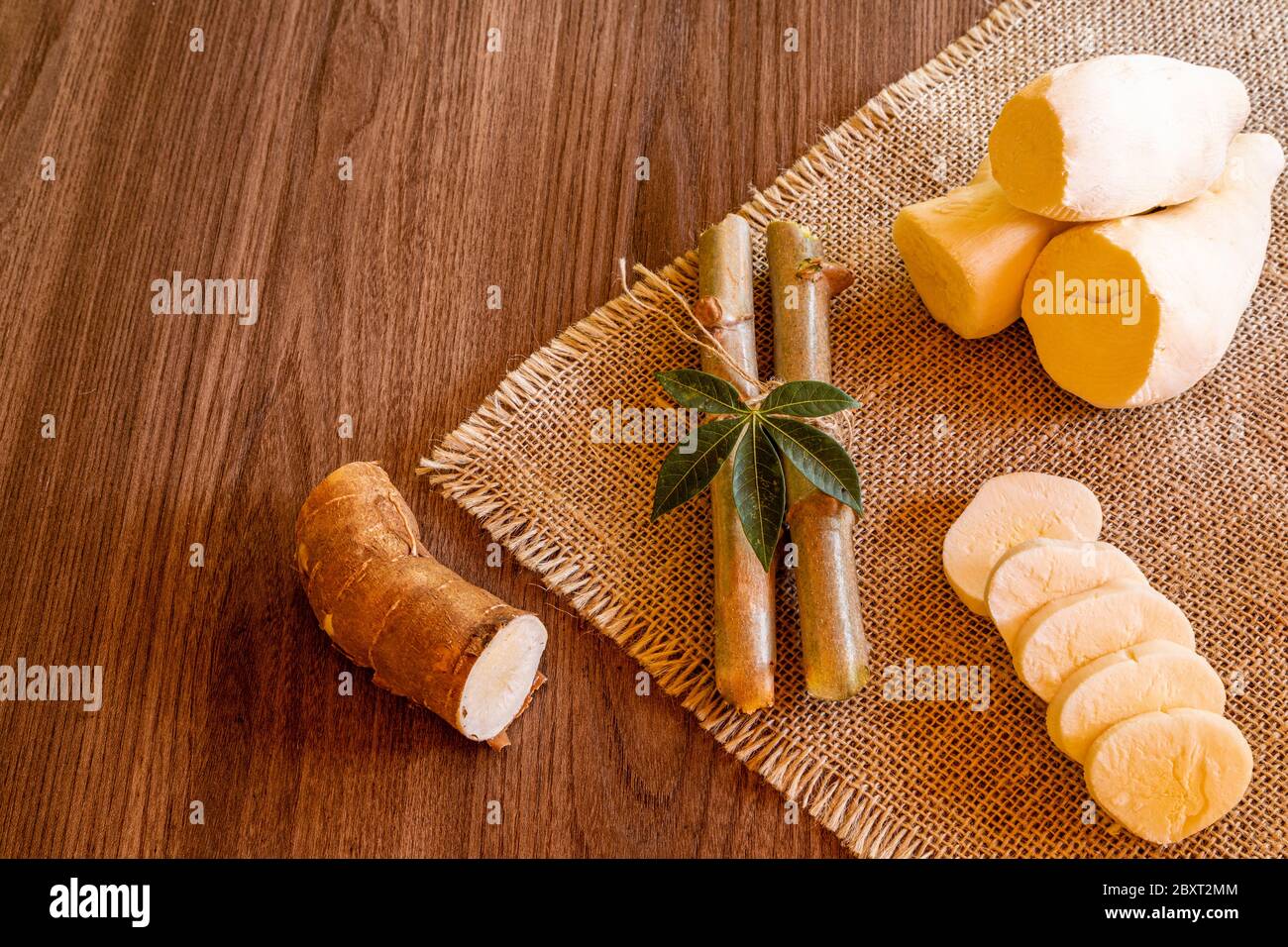 Cassava, also called manioc, yuca, balinghoy, mogo, mandioca, kamoteng ...