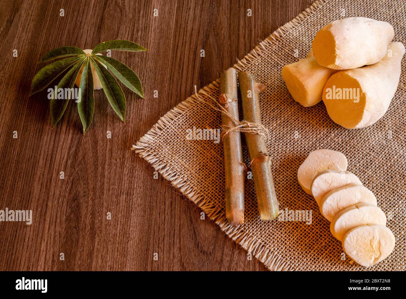 Cassava, also called manioc, yuca, balinghoy, mogo, mandioca, kamoteng ...