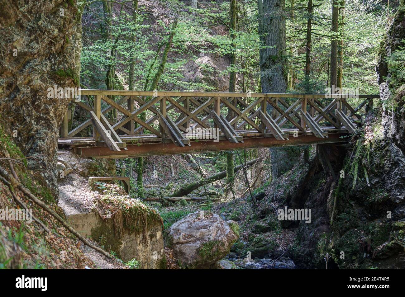 The Ravenna Gorge in the Black Forest is a narrow and steep side valley ...