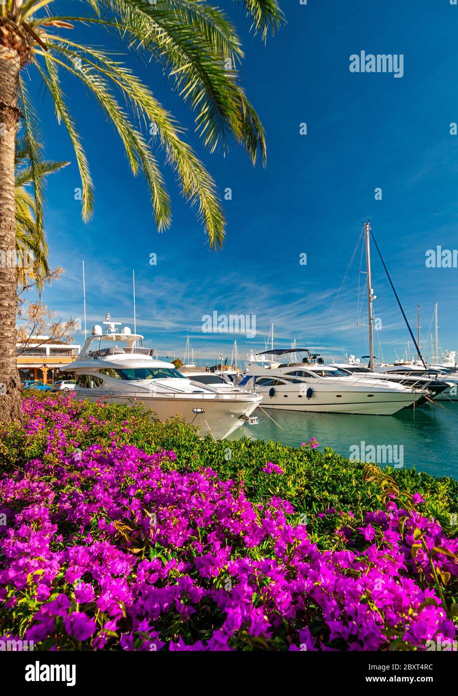 Portals nous mallorca hi-res stock photography and images - Alamy