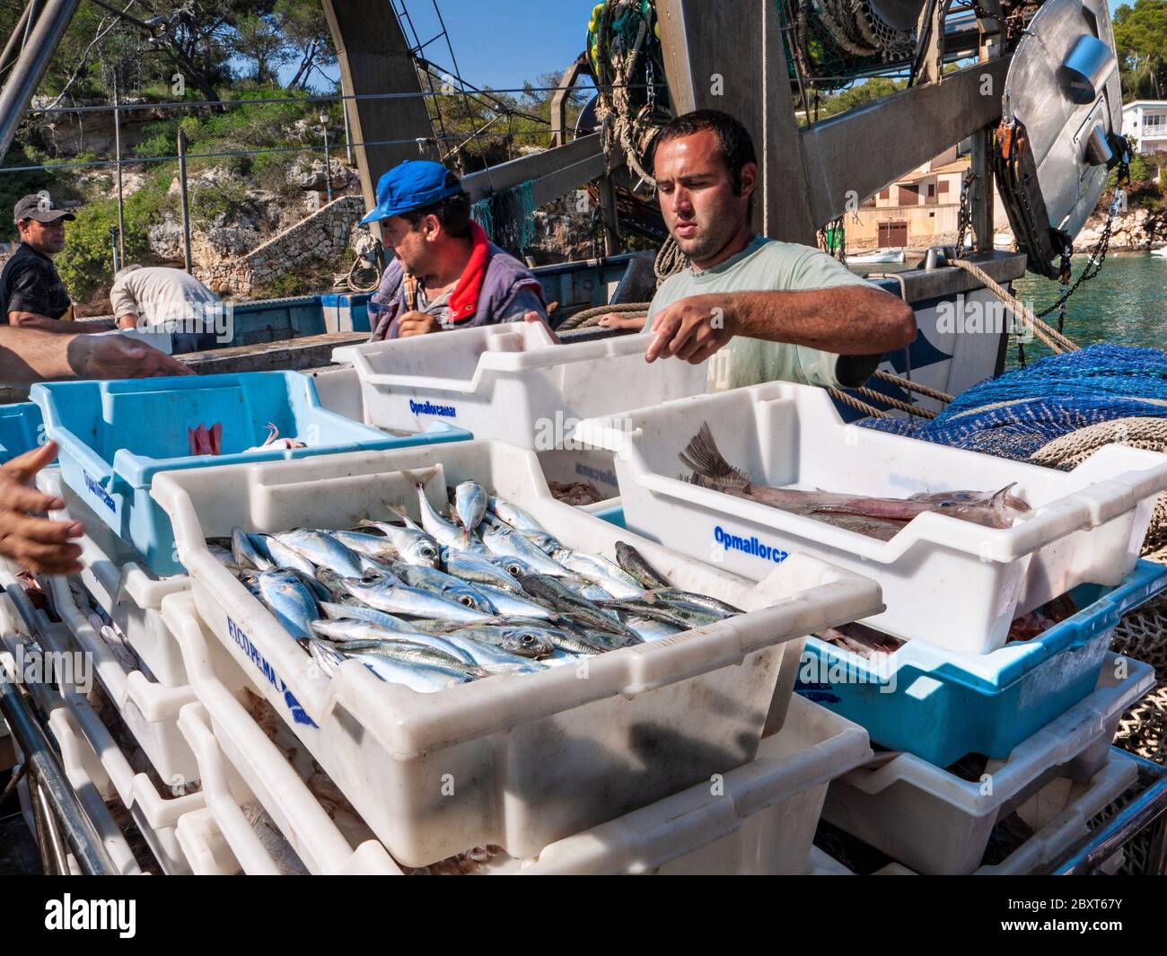 Fishermen sorting packing and unloading hi-res stock photography and ...