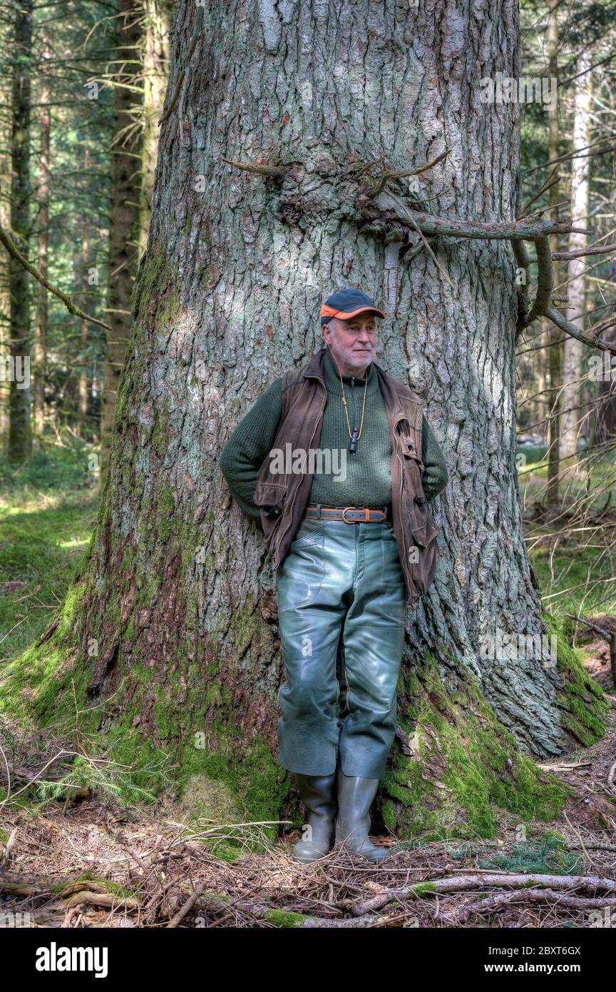 Man holding fir tree hi-res stock photography and images - Alamy